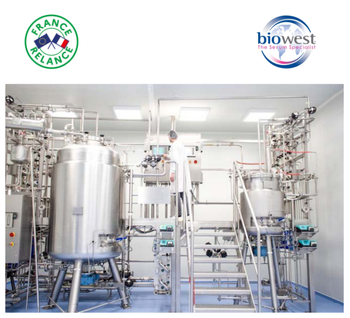 Biowest, lauréat du plan France Relance avec son projet MESPRCC ...